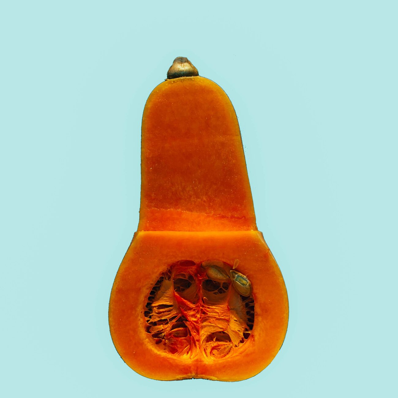 Three Delectable Recipes for Butternut Squash – Healthy Habits Blog